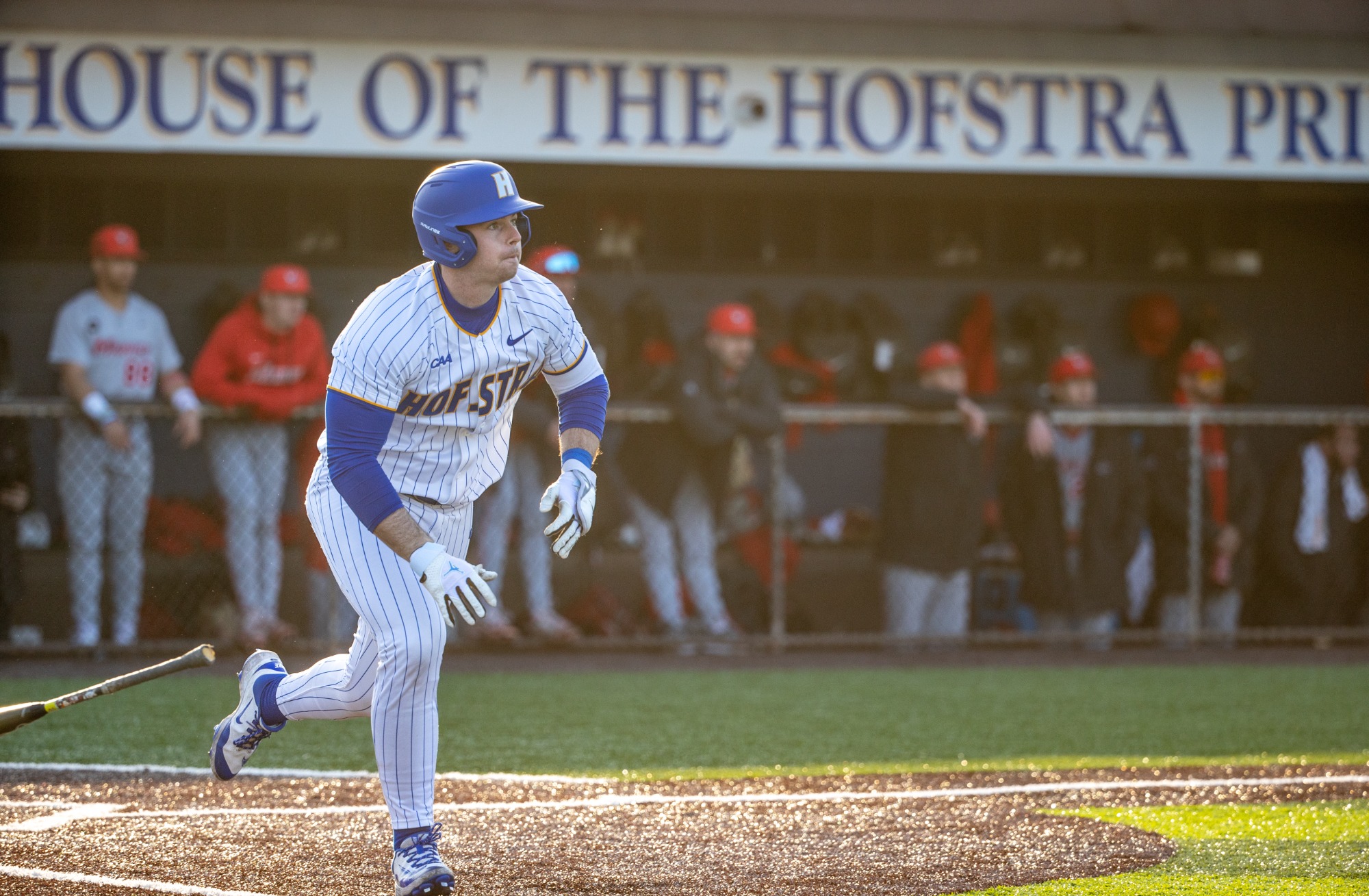2025 Baseball Schedule - Hofstra University Athletics