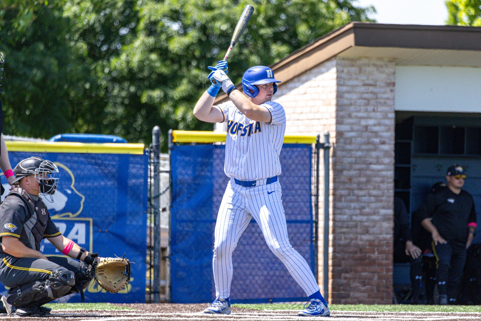 Hofstra Celebrates 2025 Spring Commencement - Hofstra University Athletics
