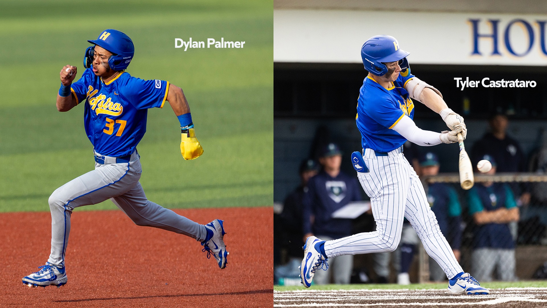 2025 Baseball Schedule - Hofstra University Athletics