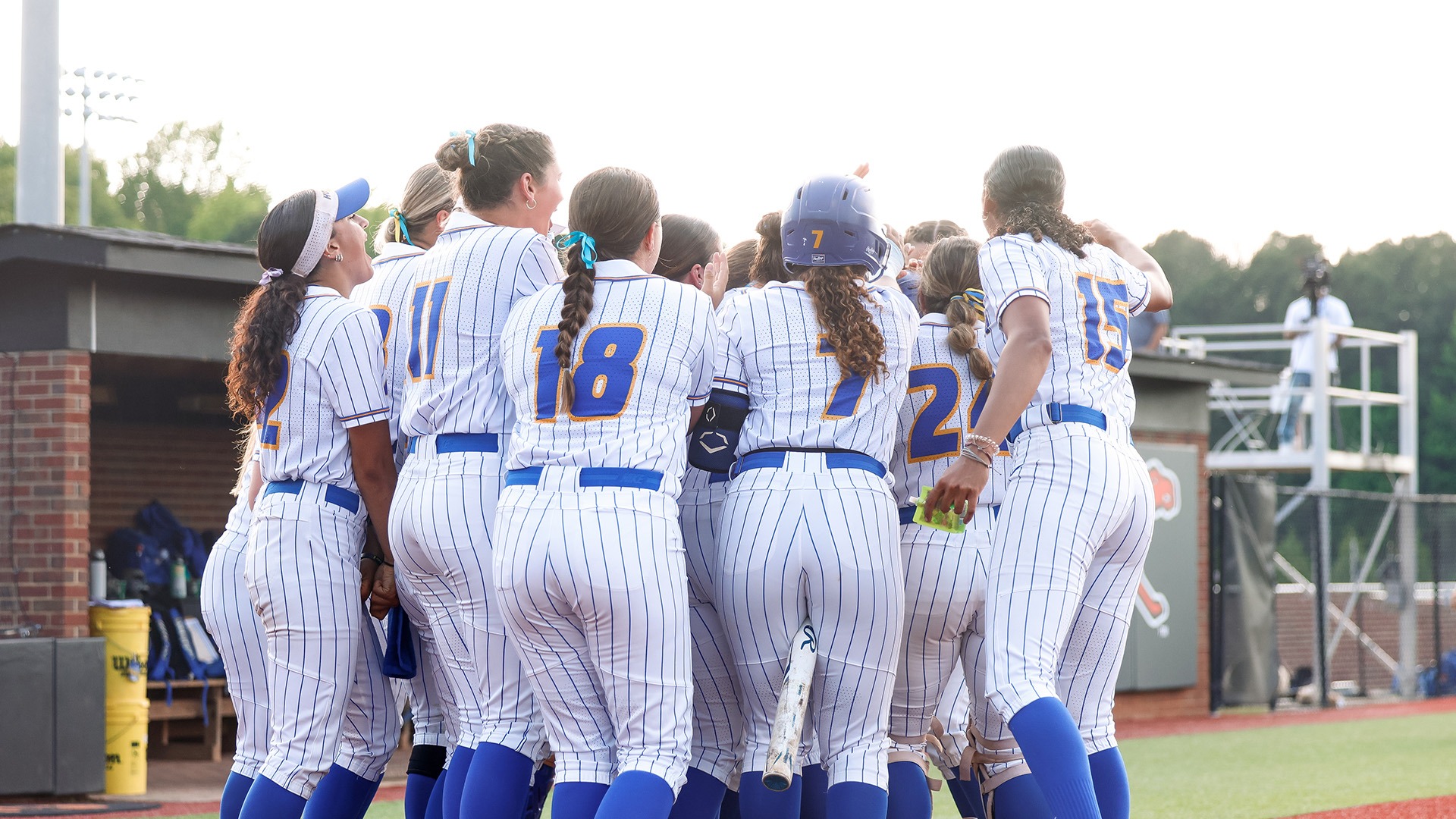 Adrienne Clark Steps Down As Hofstra Head Softball Coach - Hofstra ...