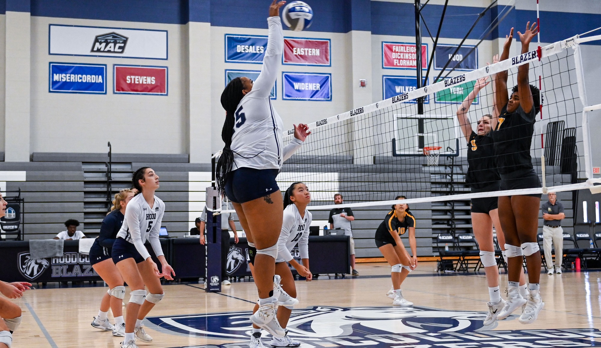 Women's volleyball drops match to Spartans - Hood College