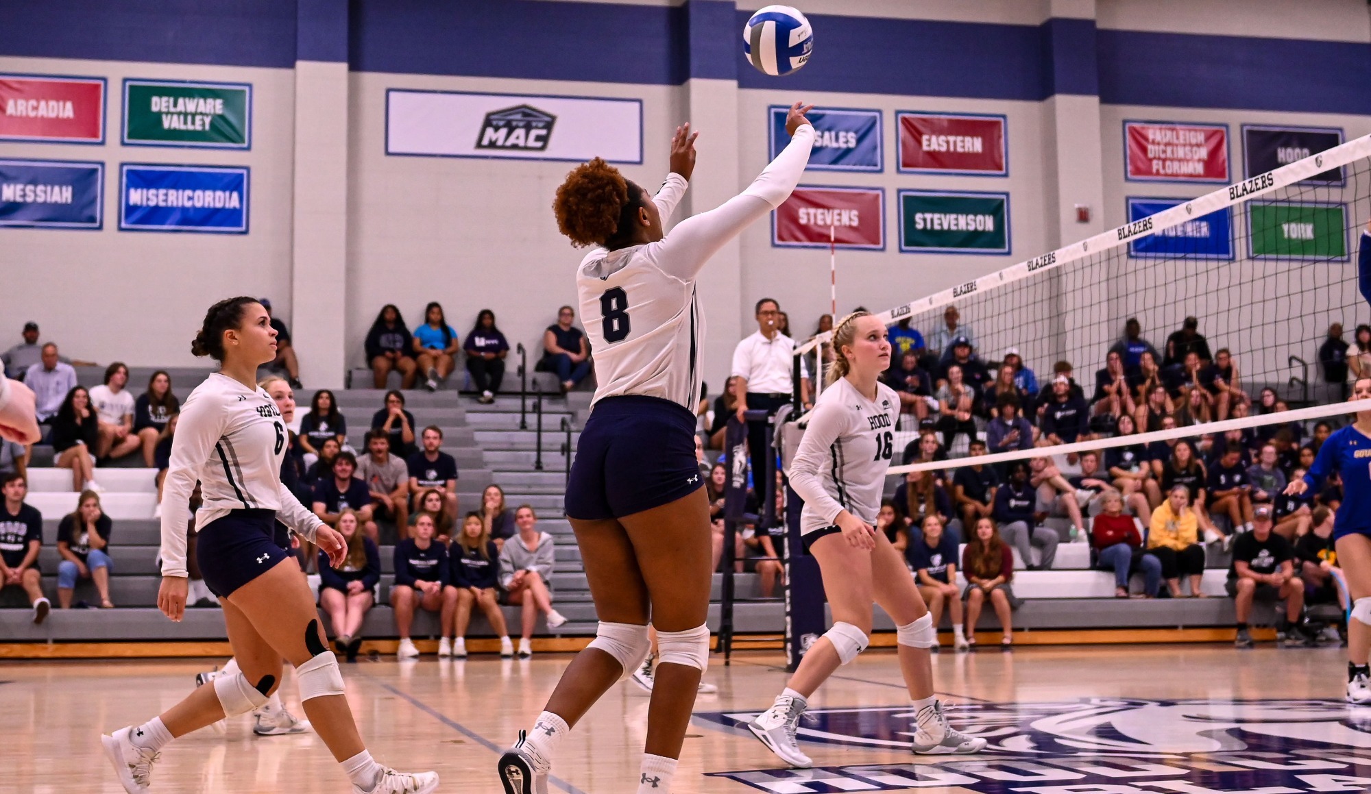 Women’s volleyball swept by York - Hood College