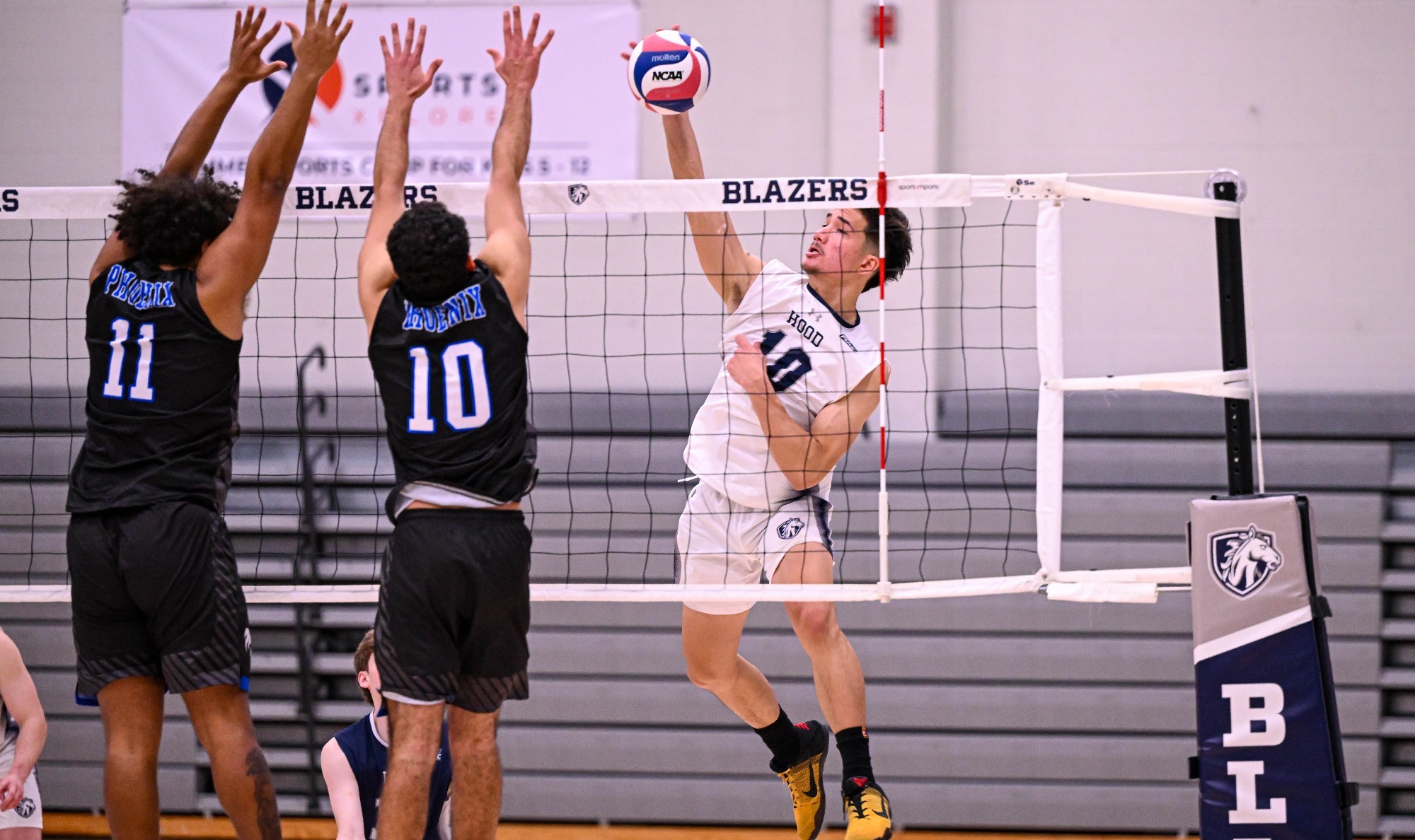 Men’s Volleyball mighty effort not enough against Immaculata - Hood College