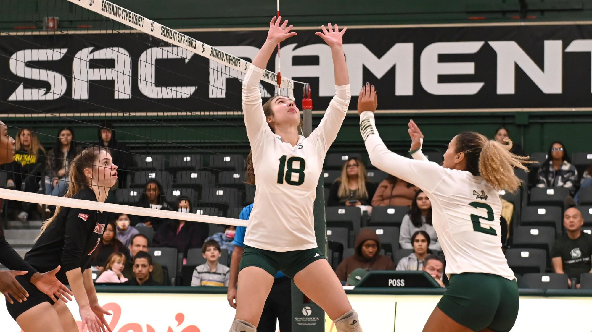 Savannah Risley - 2024 - Volleyball - Sacramento State