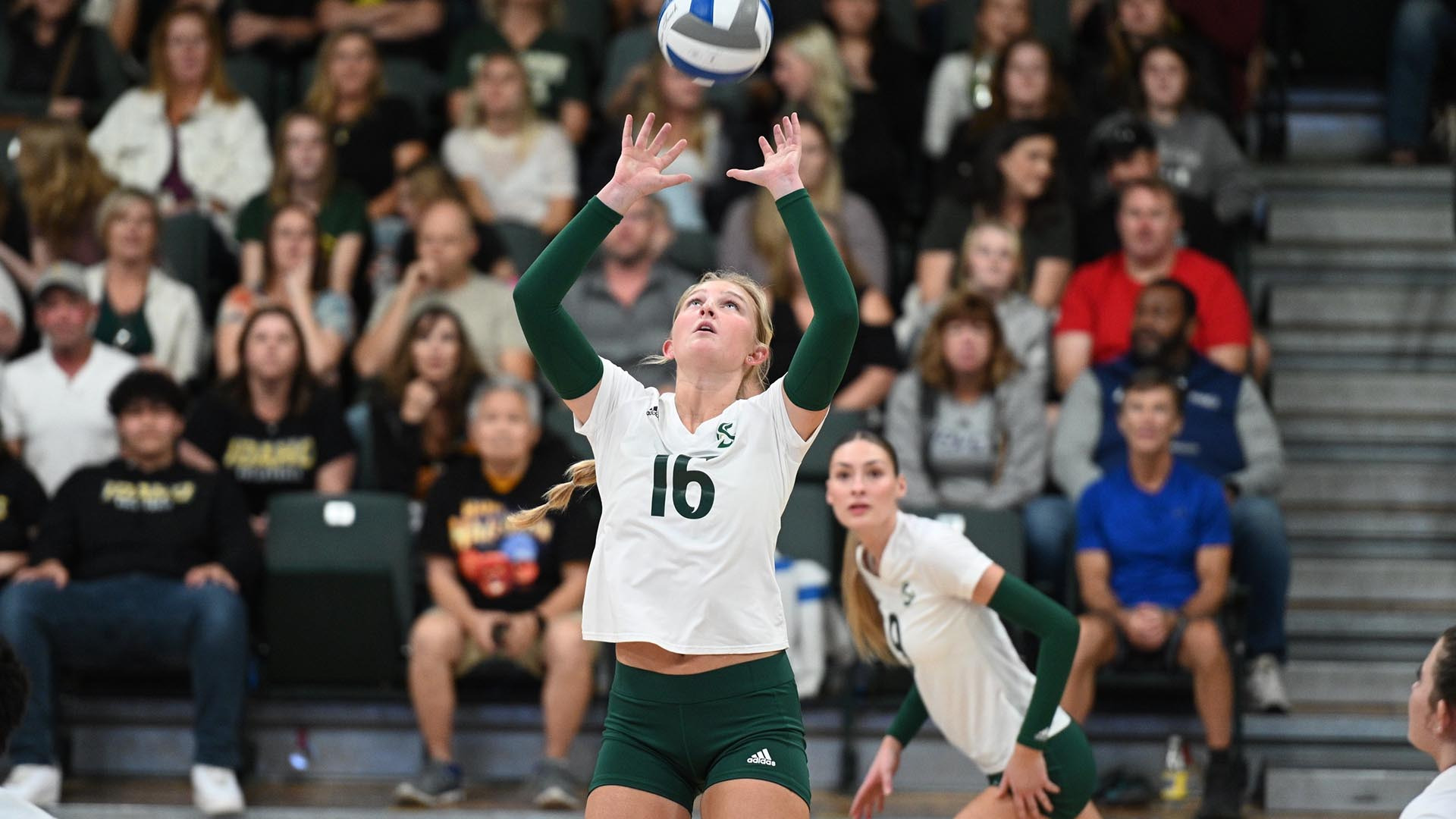 Hailey Plugge - 2024 - Volleyball - Sacramento State