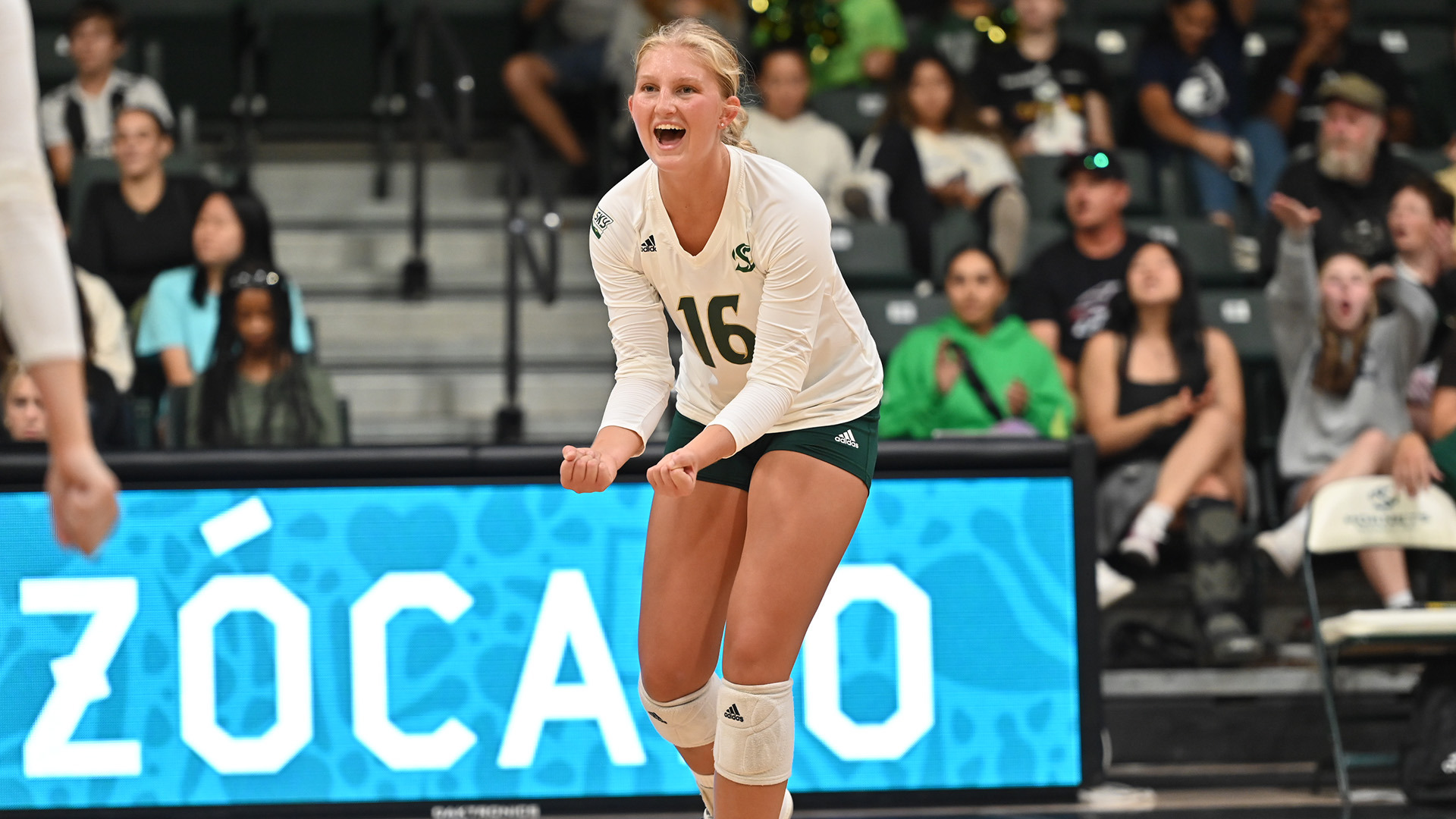 Hailey Plugge - 2024 - Volleyball - Sacramento State