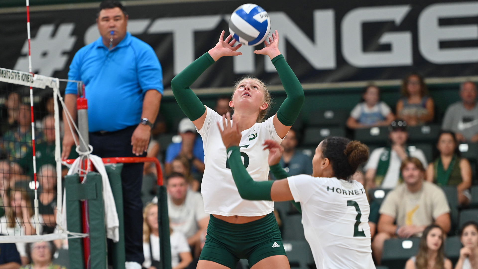 Hailey Plugge - 2024 - Volleyball - Sacramento State