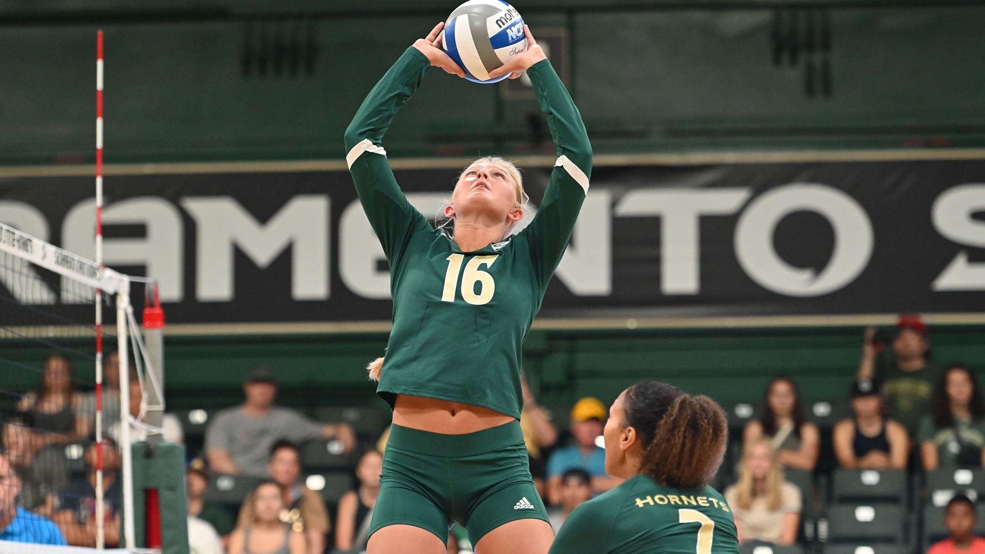 Hailey Plugge - 2024 - Volleyball - Sacramento State