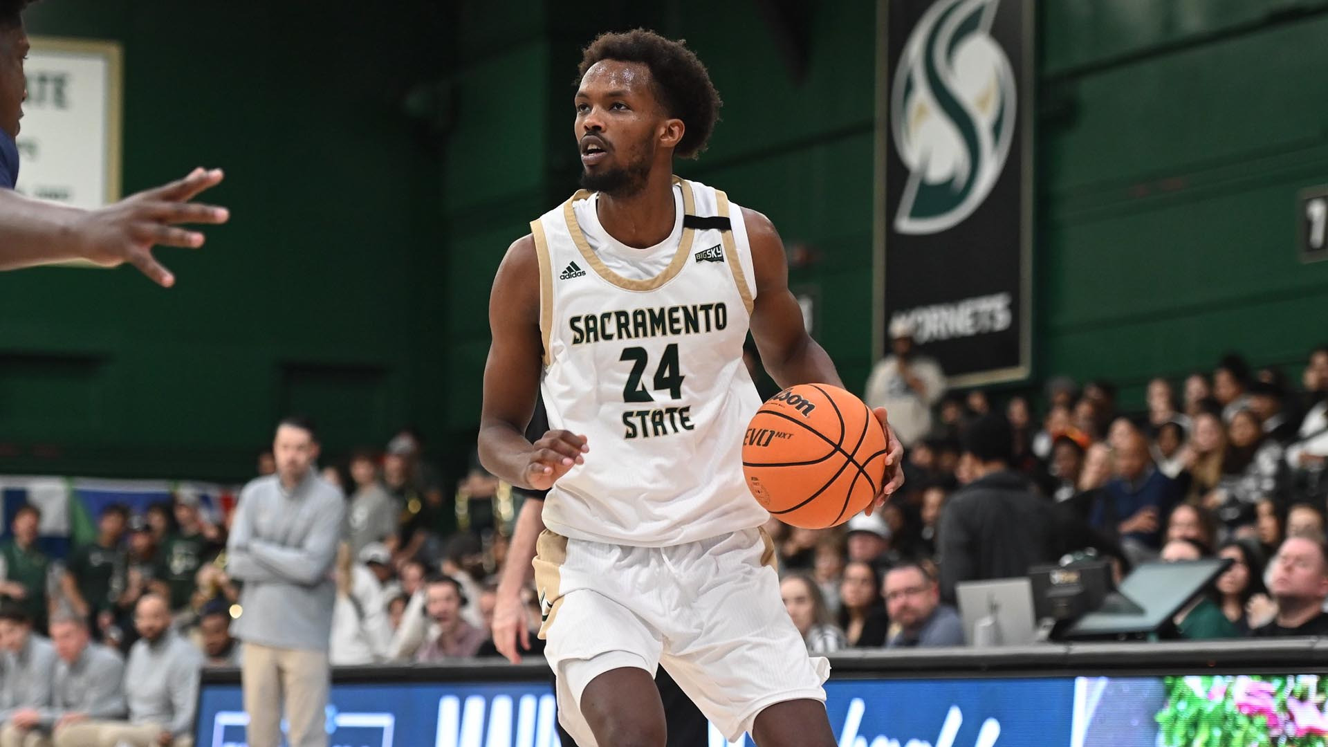 Zee Hamoda - 2023-24 - Men's Basketball - Sacramento State