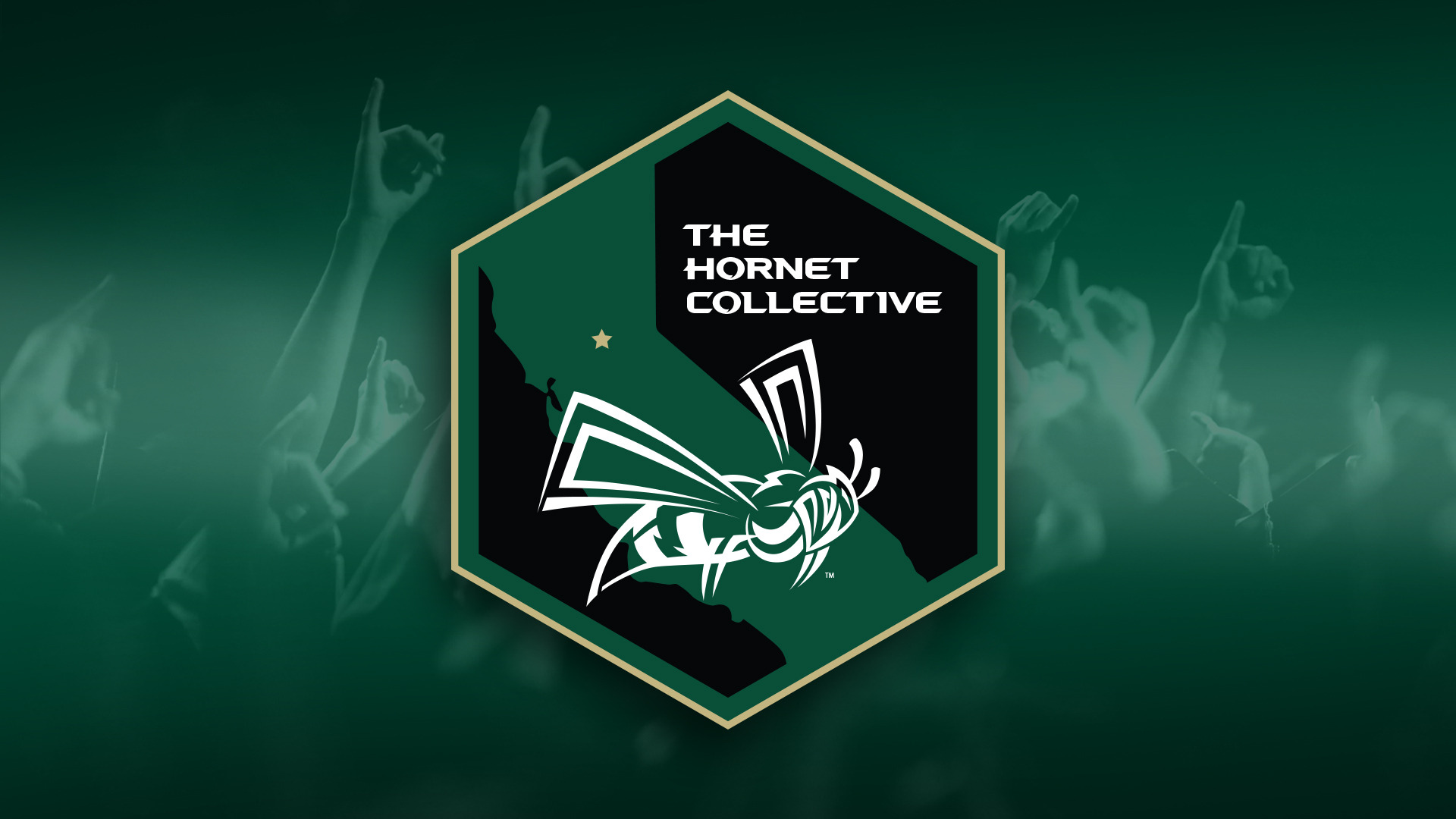 SOCCER’S LUCAS GIMENEZ NAMED THE MALE HORNET AWARD WINNER - Sacramento ...