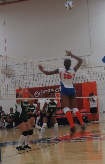 Destini Green - 2015 - Women's Volleyball - Hostos Community College ...