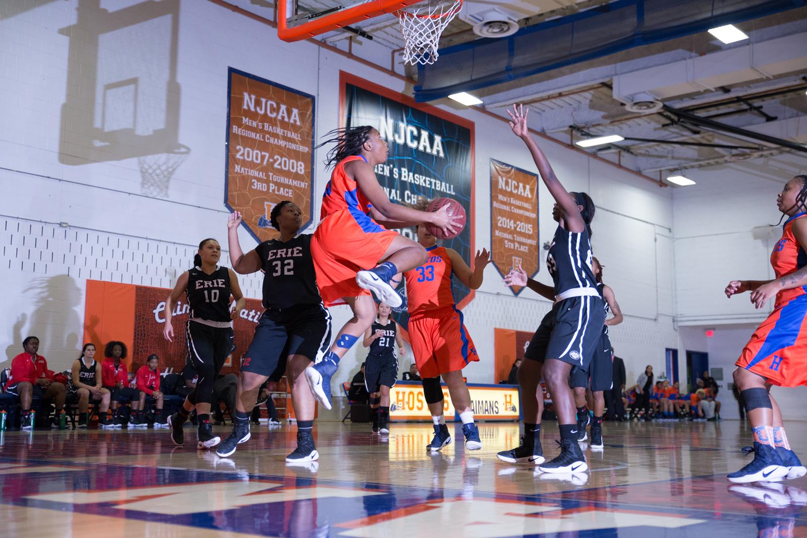 Destini Green - 2016-2017 - Women's Basketball - Hostos Community College Athletics