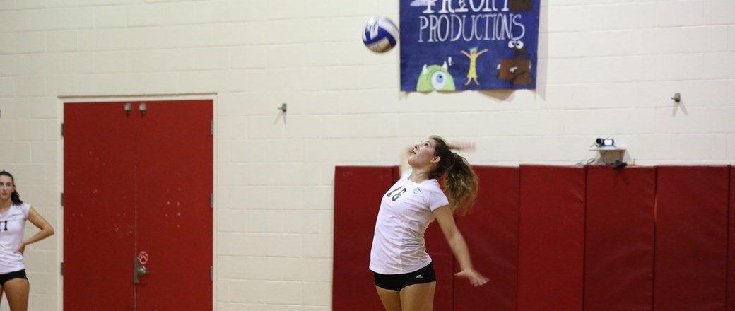 Jade Gillespie - 2017 - Women's Volleyball - Hawaii Pacific University ...