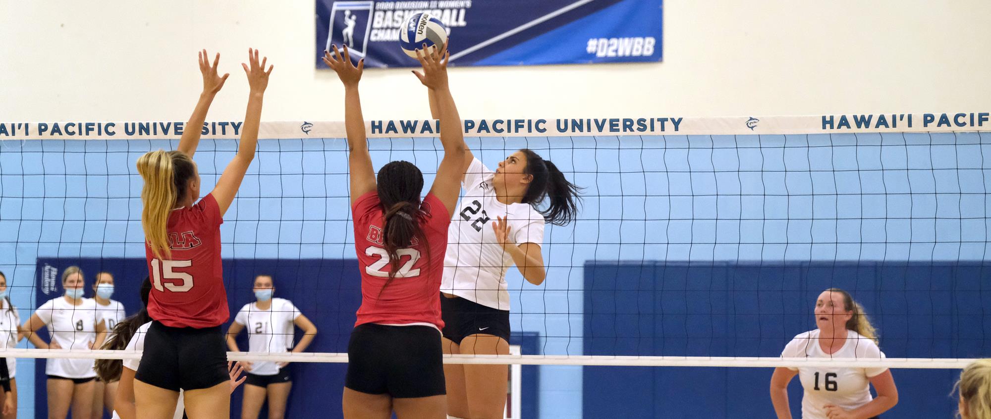 Sas Volleyball Hawaii at Samantha Sternberg blog