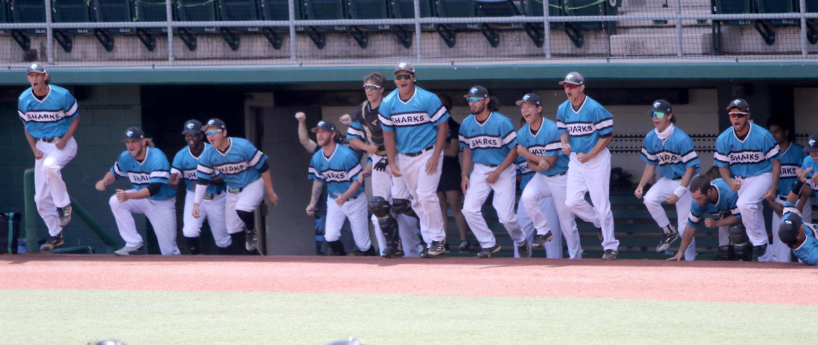 HPU Stuns UH Hilo With Another Doubleheader Sweep - Hawaii Pacific ...