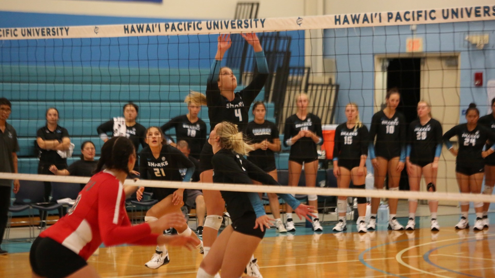 Sharks Volleyball Attack Vulcans in 3-0 Victory - Hawaii Pacific ...