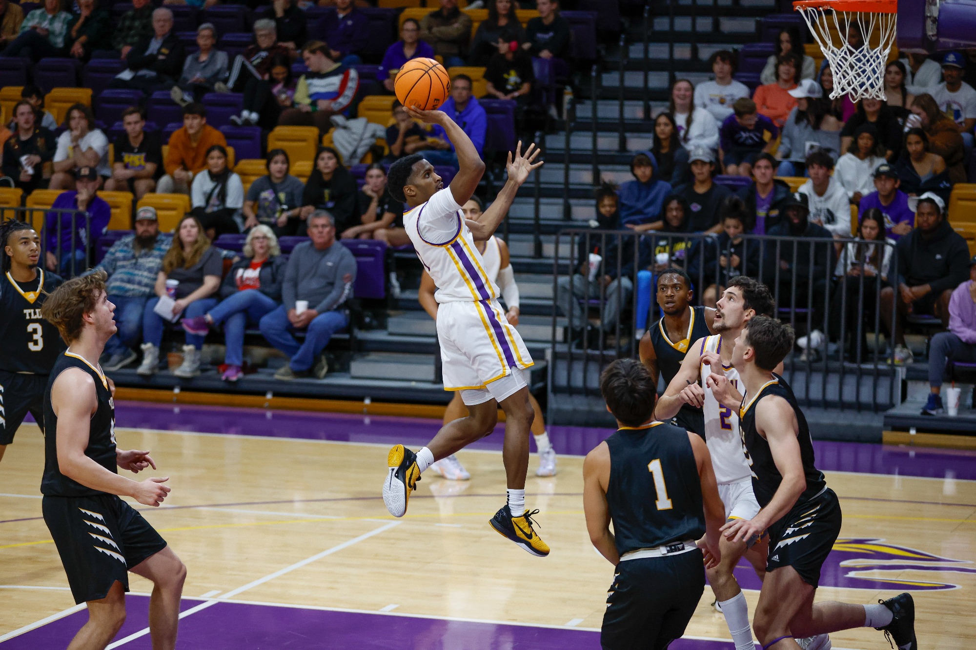 Jason Justice - 2023-24 - Men's Basketball - Hardin-Simmons University