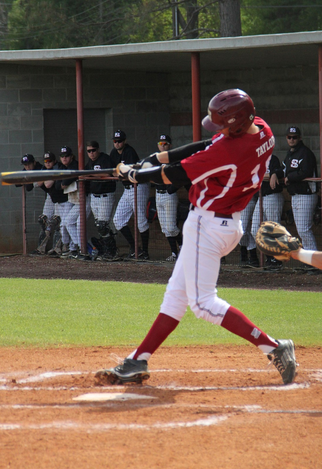 Jordan Taylor - 2017 - Baseball - Henderson State University Athletics