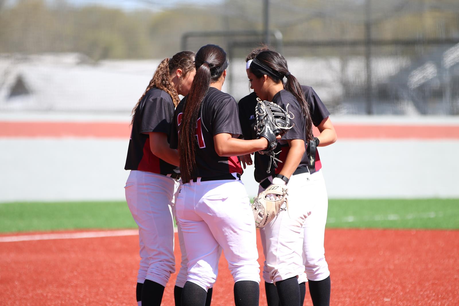 Reddie Softball Gears Up for Weekend Series with SWOSU - Henderson ...