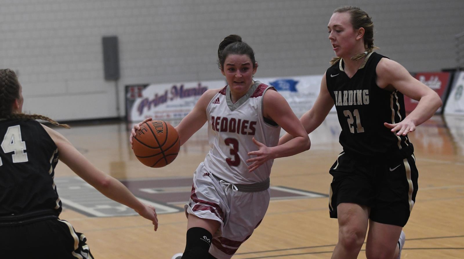 Hailey Estes - 2019-20 - Women's Basketball - Henderson State ...