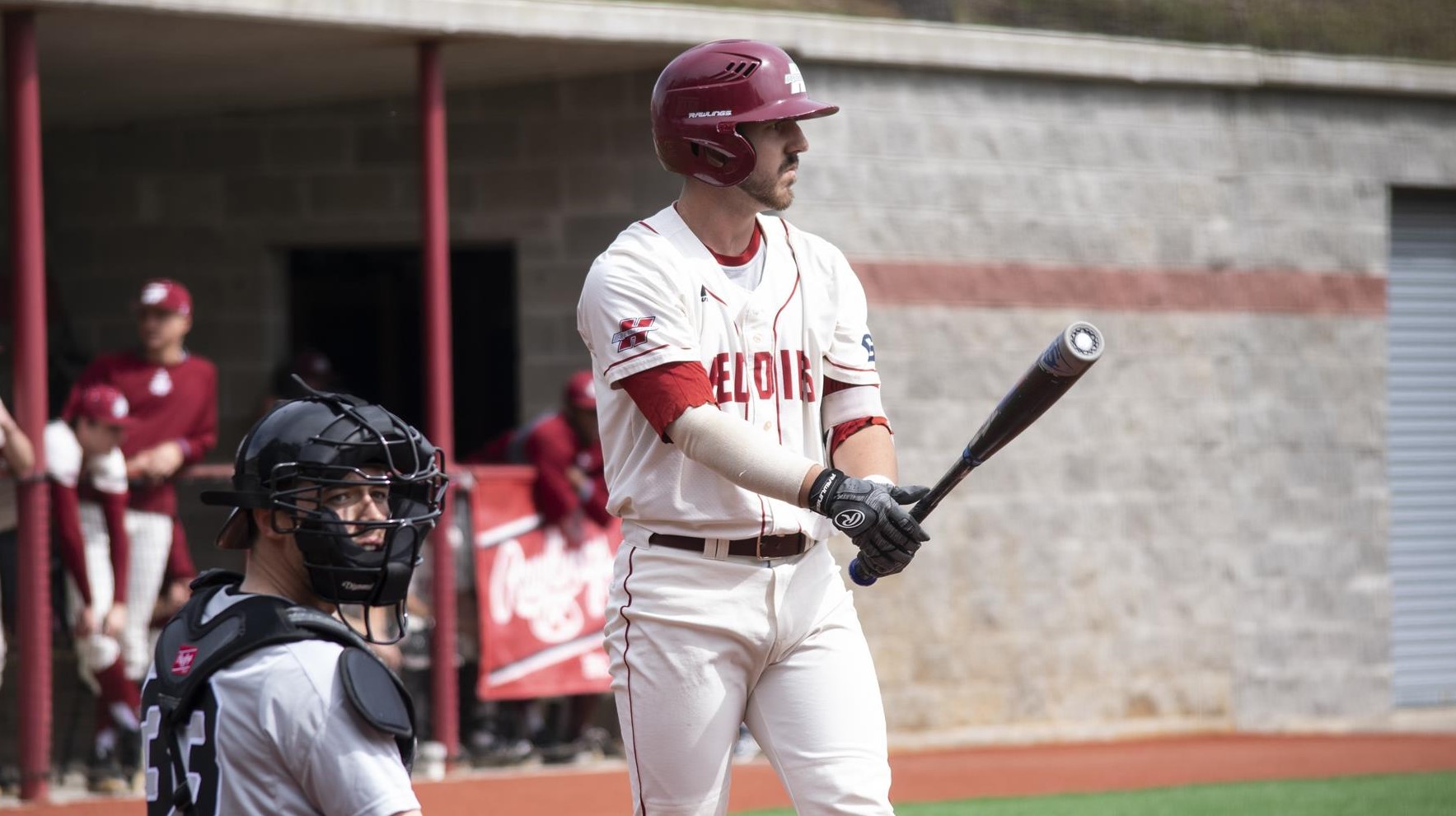 Brandon Pollock - 2019 - Baseball - Henderson State University Athletics