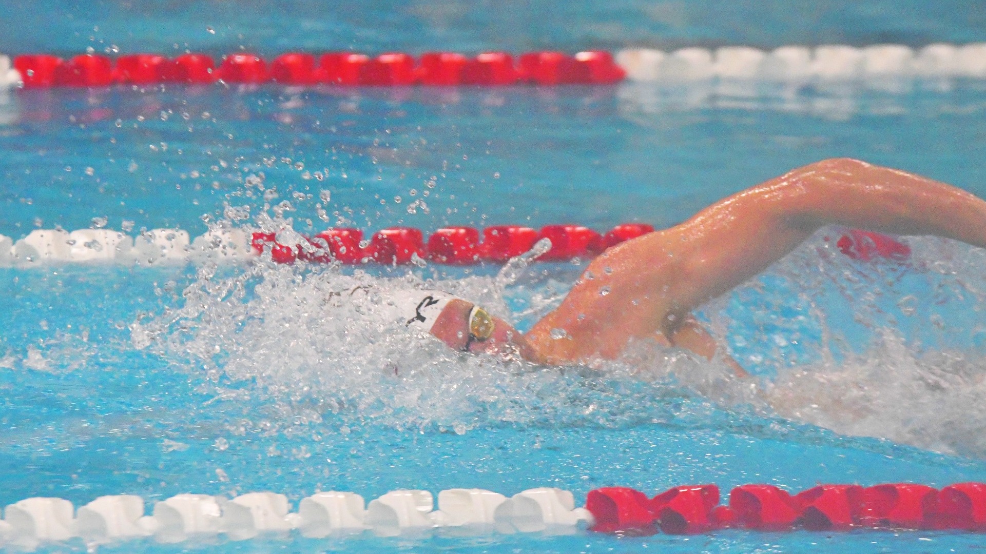 Jack Armstrong - 2023-24 - Men's Swimming and Diving - Henderson State ...