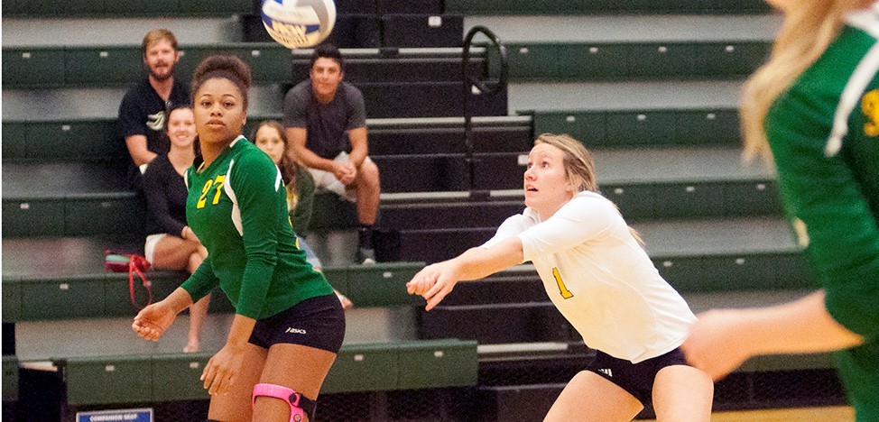 Haley Biles - Volleyball - Cal Poly Humboldt Athletics
