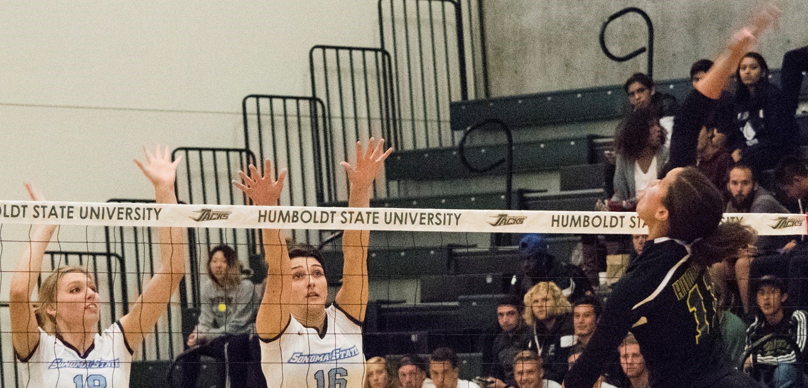 Alex Hasenstab - Volleyball - Cal Poly Humboldt Athletics
