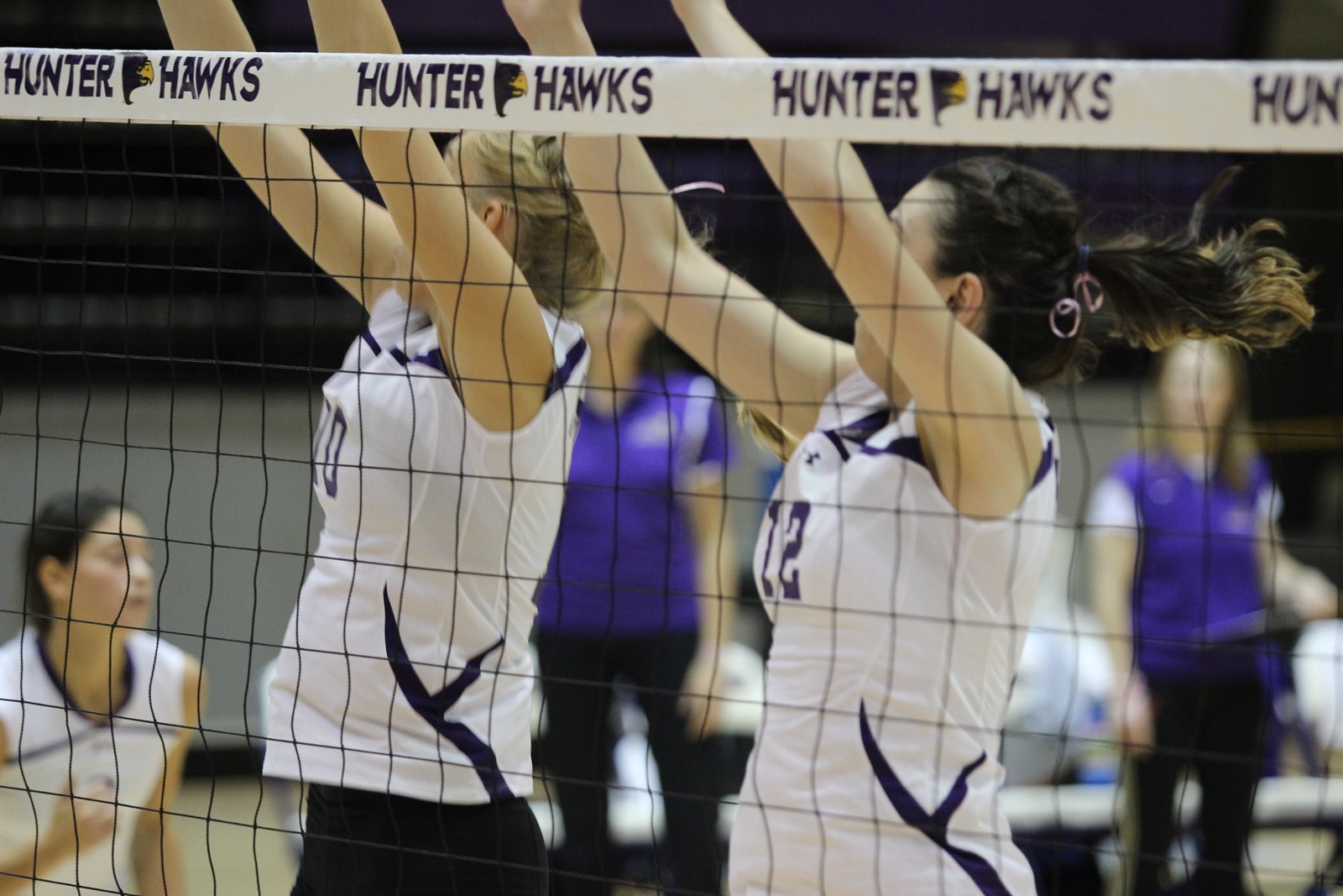 Taylor Kordich - 2013 - Women's Volleyball - Hunter College Athletics