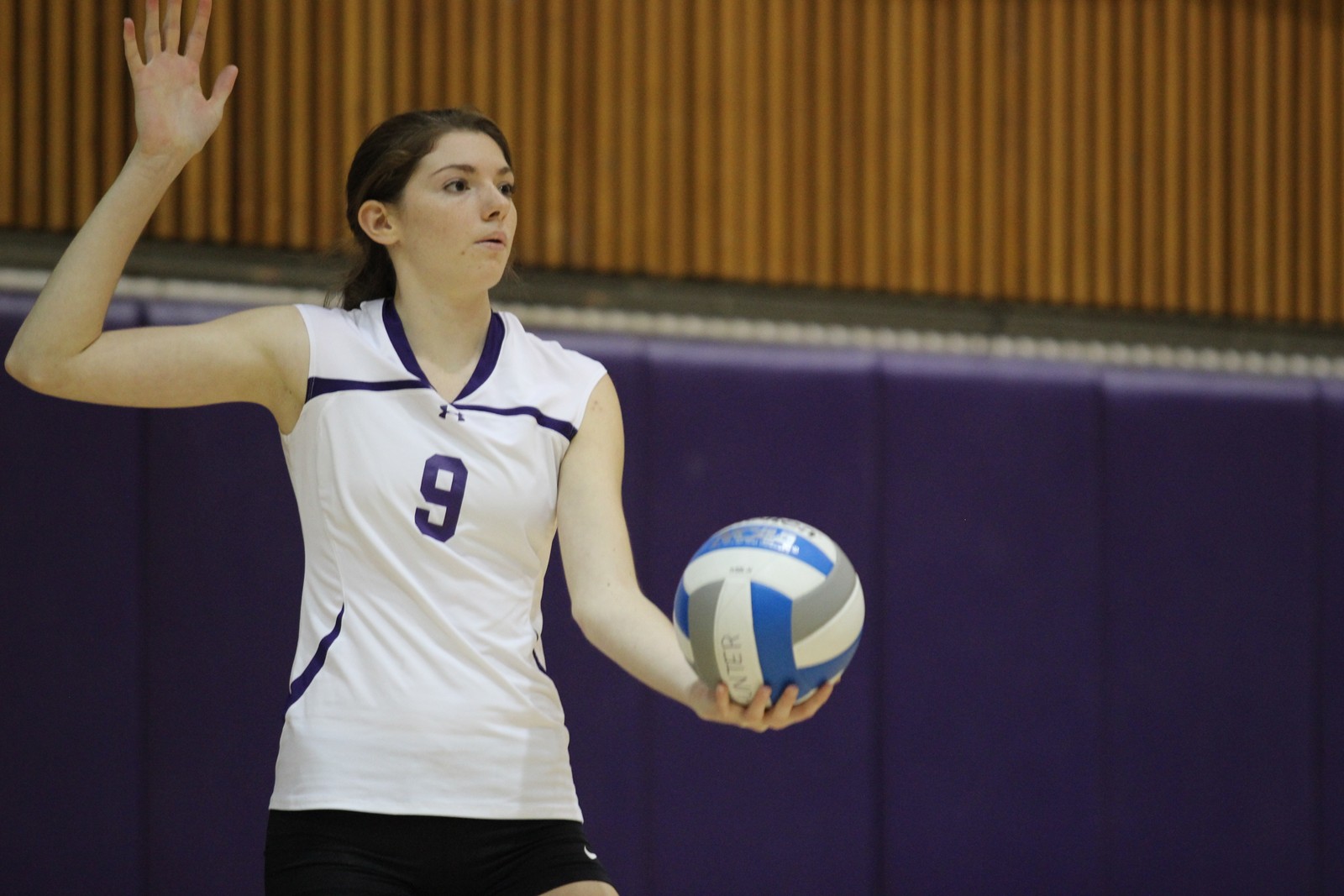 Stephanie Taibe - 2013 - Women's Volleyball - Hunter College Athletics