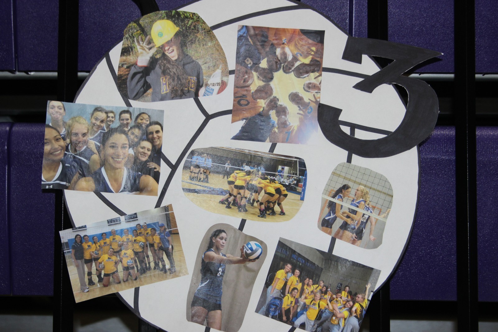 Taylor Kordich - 2014 - Women's Volleyball - Hunter College Athletics