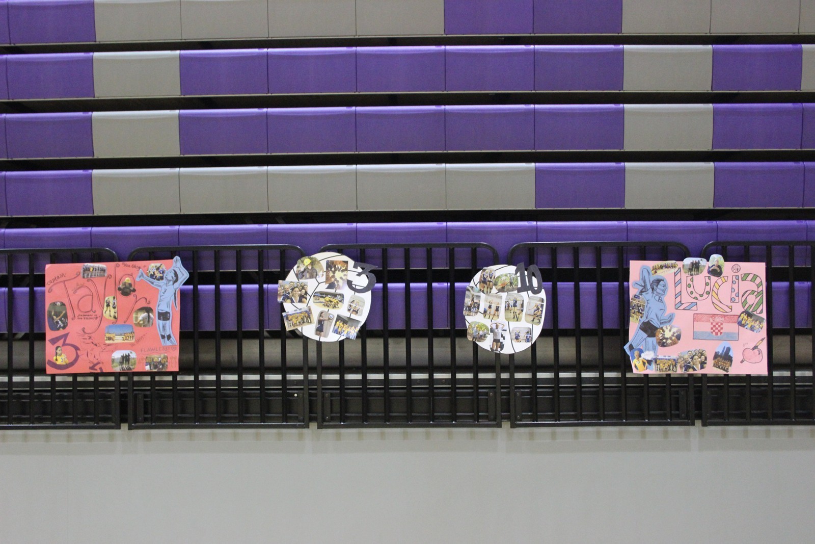 Taylor Kordich - 2014 - Women's Volleyball - Hunter College Athletics