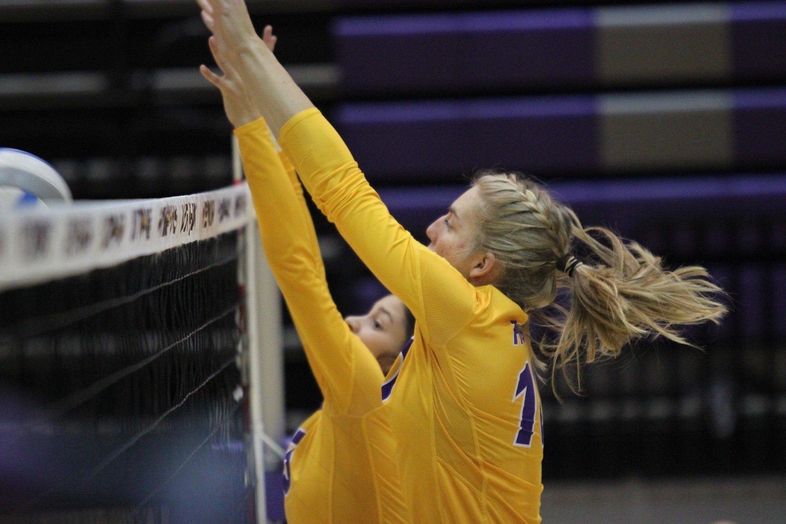 Taylor Kordich - 2014 - Women's Volleyball - Hunter College Athletics