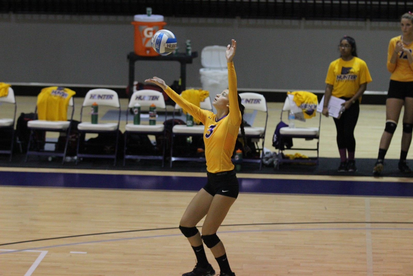 Taylor Kordich - 2014 - Women's Volleyball - Hunter College Athletics
