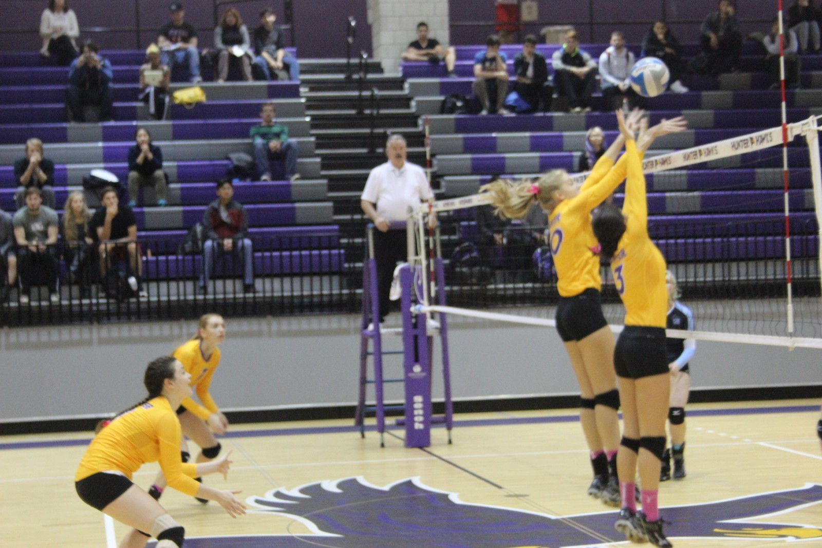 Taylor Kordich - 2014 - Women's Volleyball - Hunter College Athletics