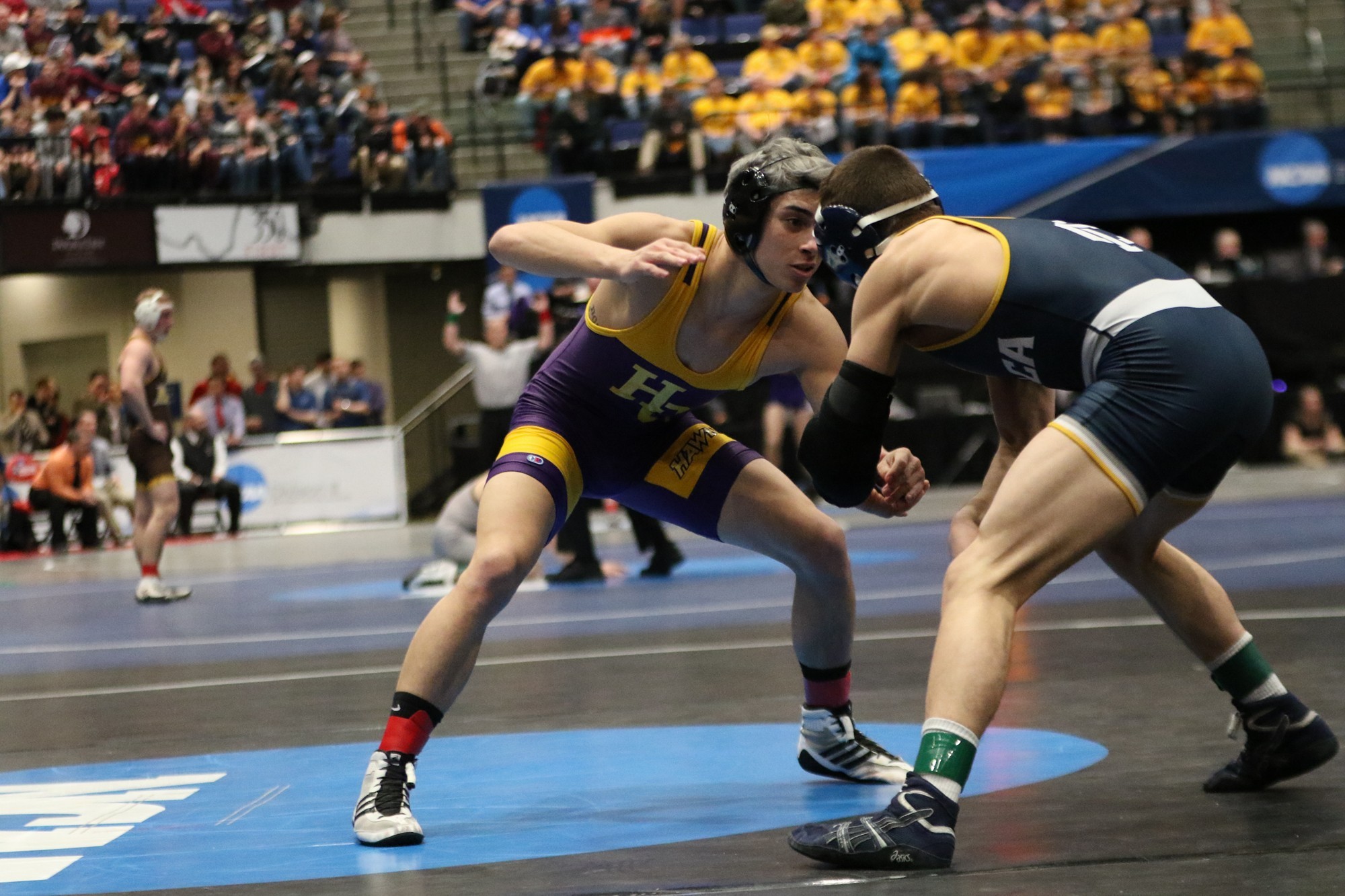 Jaydon Rice - 2015-16 - Wrestling - Hunter College Athletics