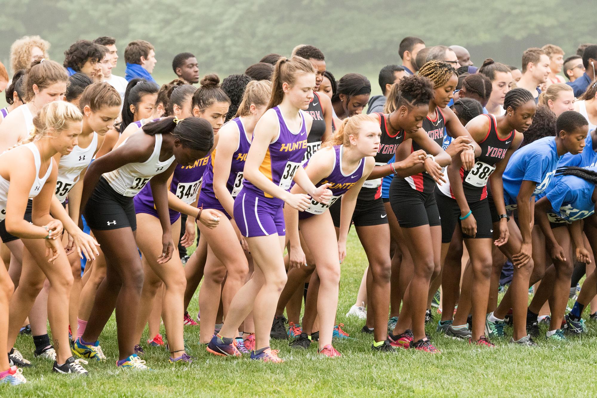 Vera Pertsovskaya - 2017 - Women's Cross Country - Hunter College Athletics