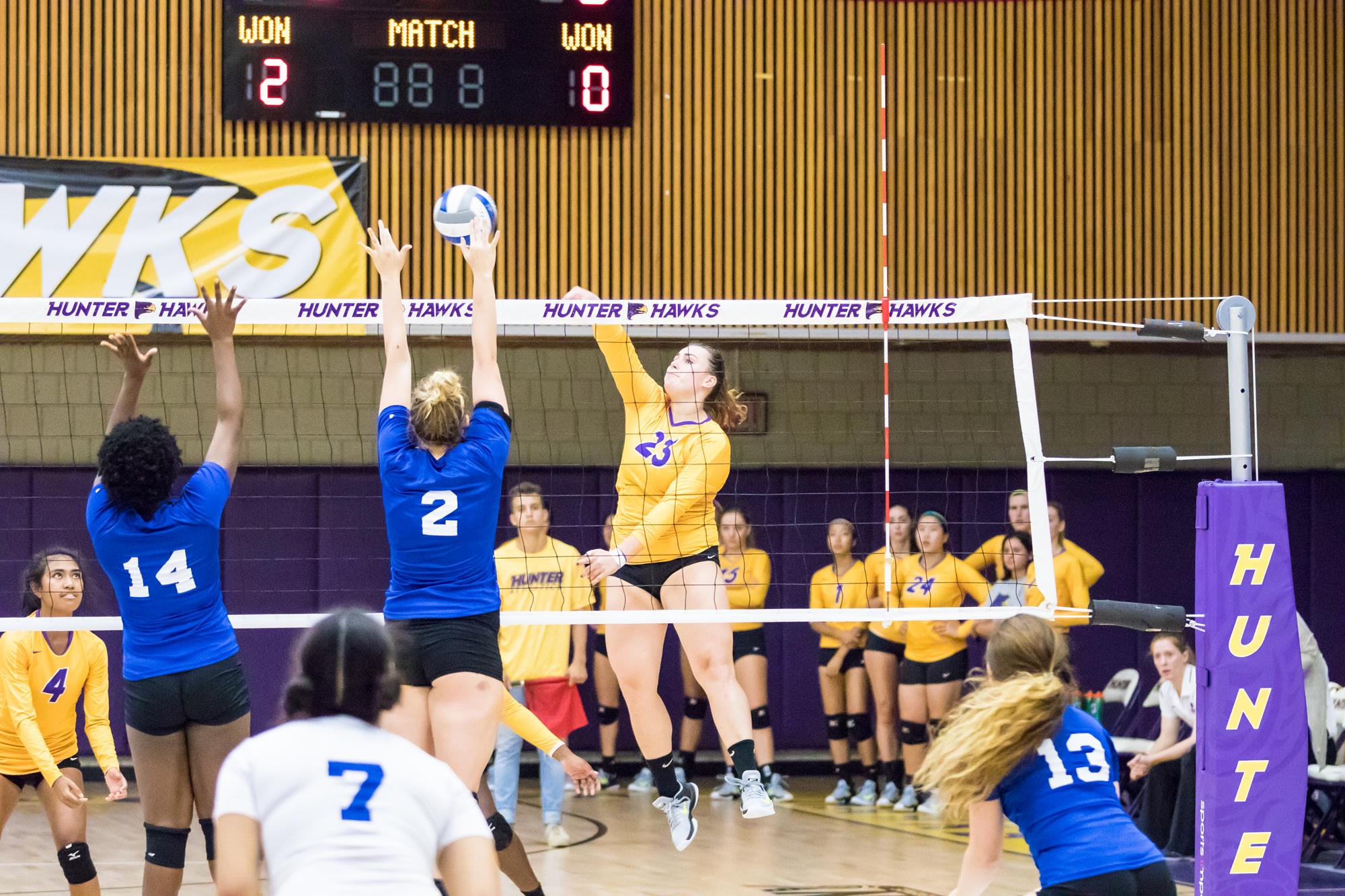 Taylor Haiduk - 2018 - Women's Volleyball - Hunter College Athletics