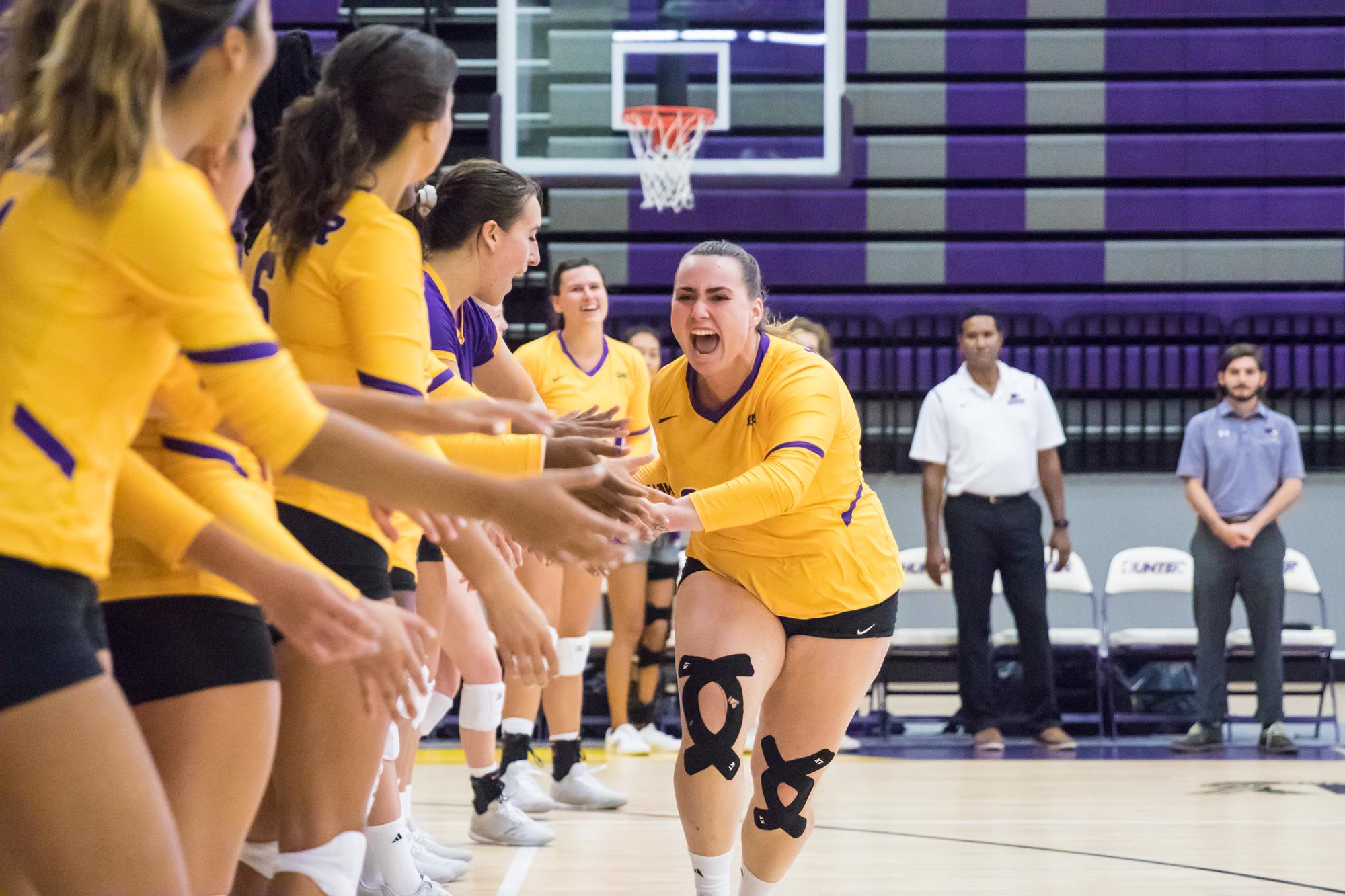 Taylor Haiduk - 2018 - Women's Volleyball - Hunter College Athletics