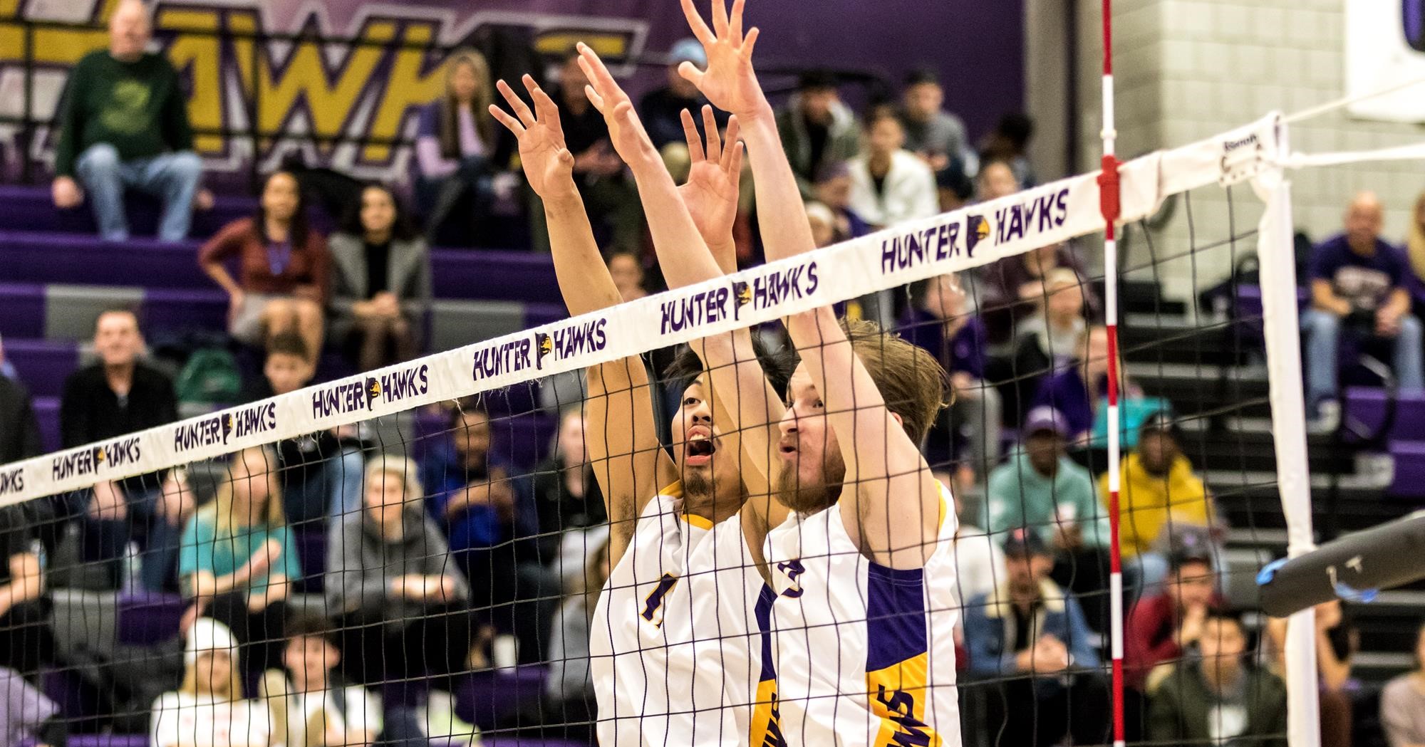 Blake Hogan - 2020 - Men's Volleyball - Hunter College Athletics