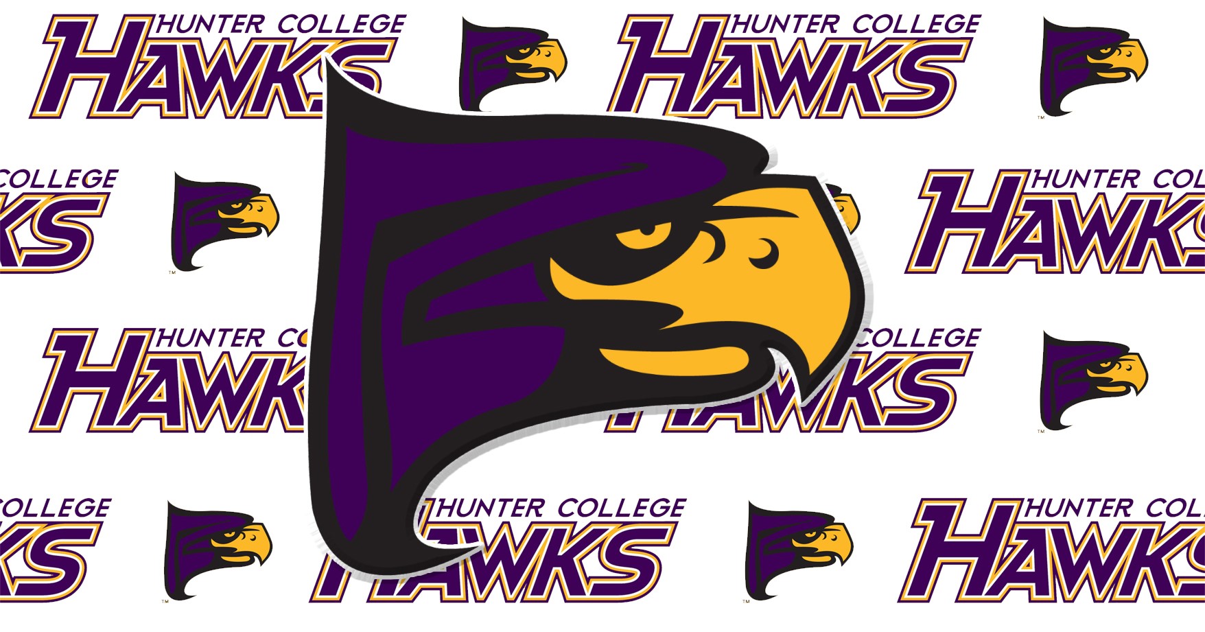 Athletics Hosts Operation Enrichment Zoom Meeting - Hunter College ...