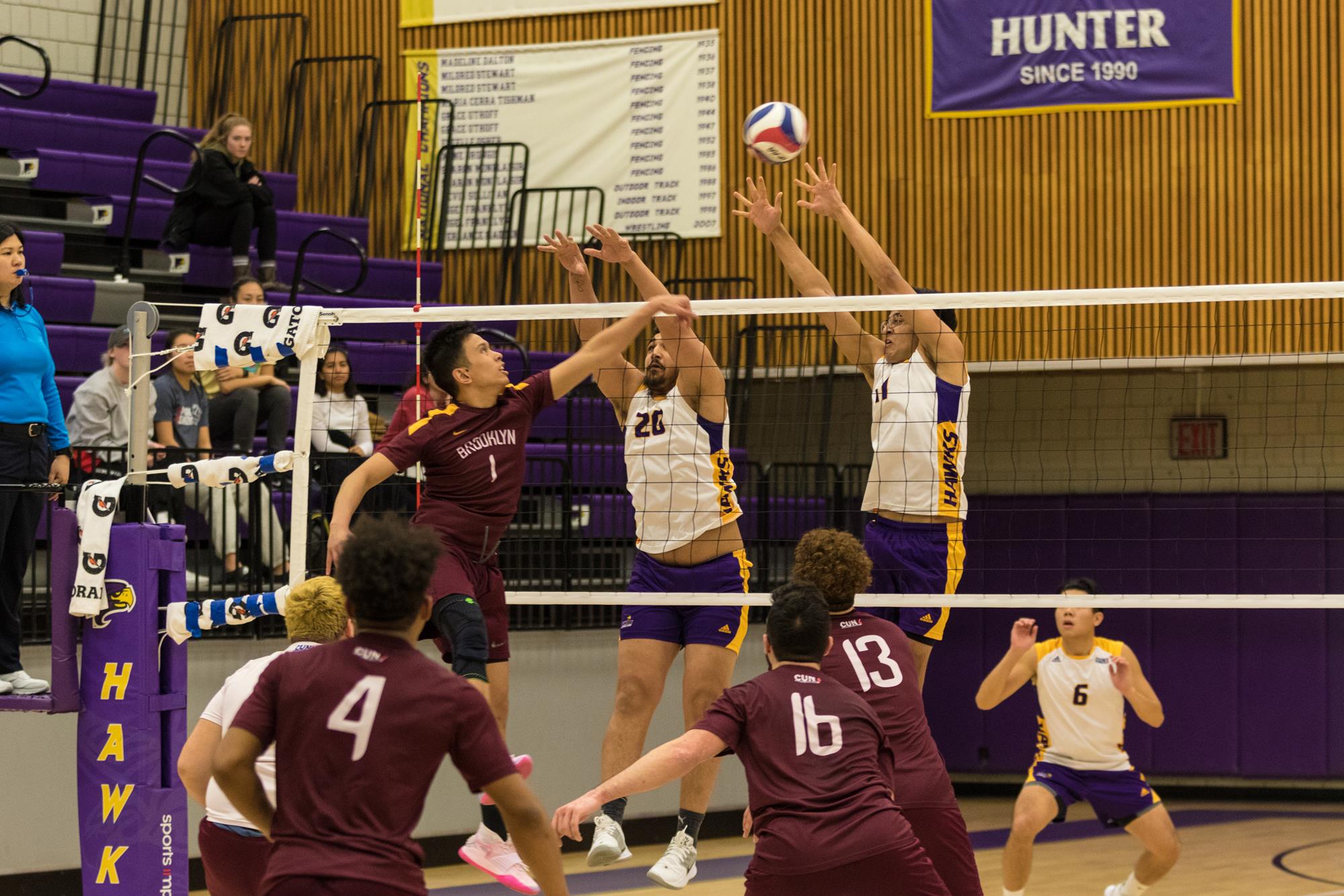 Aryaan Meer - 2020 - Men's Volleyball - Hunter College Athletics