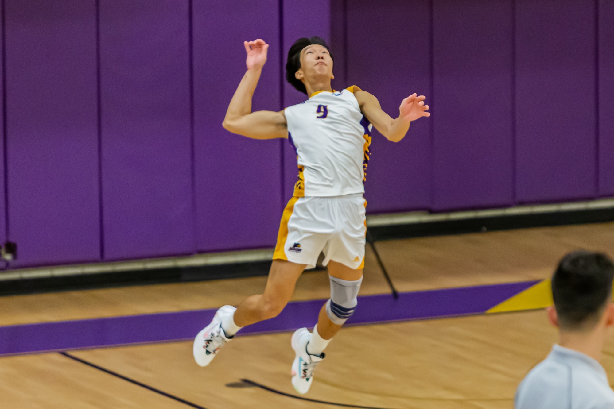 Ted Kim - 2024 - Men's Volleyball - Hunter College Athletics