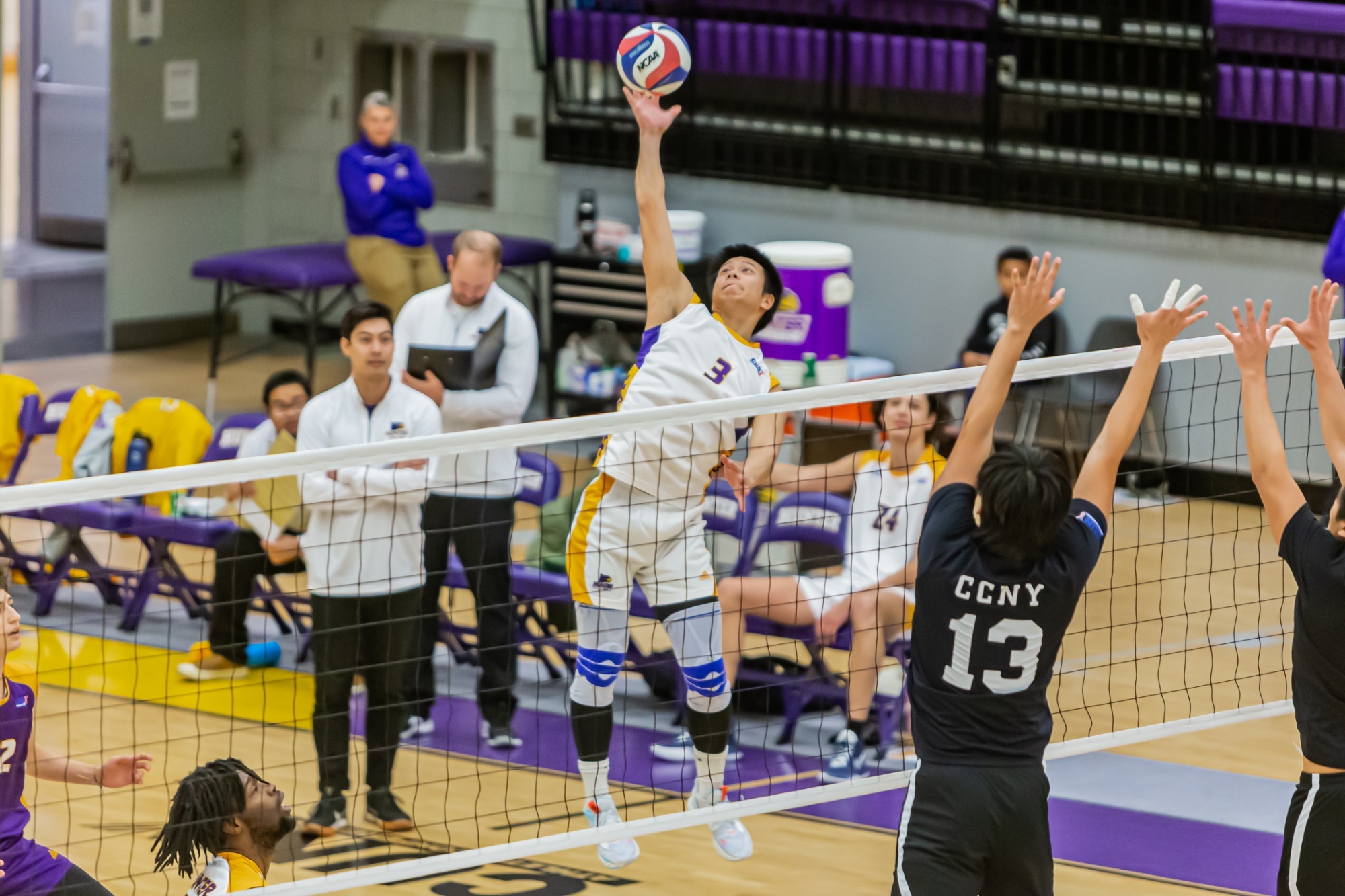 David Lou - 2023 - Men's Volleyball - Hunter College Athletics