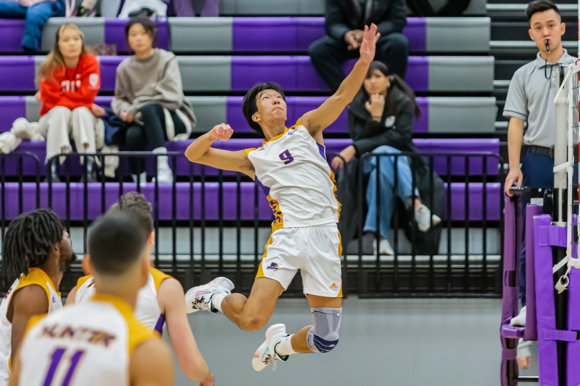 Ted Kim - 2024 - Men's Volleyball - Hunter College Athletics
