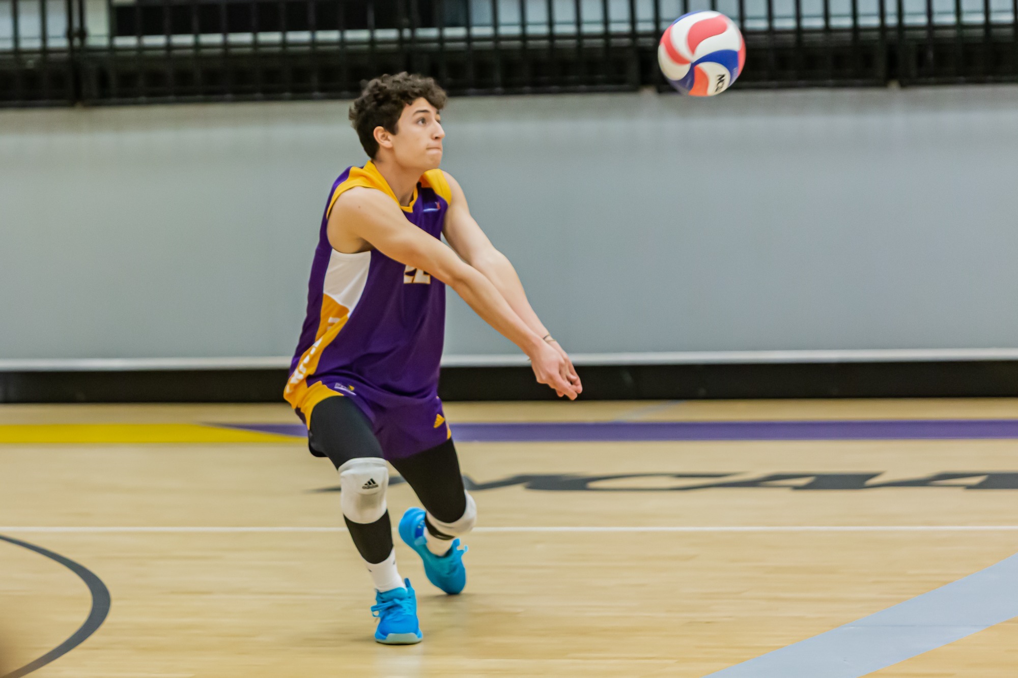 Sergio Aguado - 2024 - Men's Volleyball - Hunter College Athletics