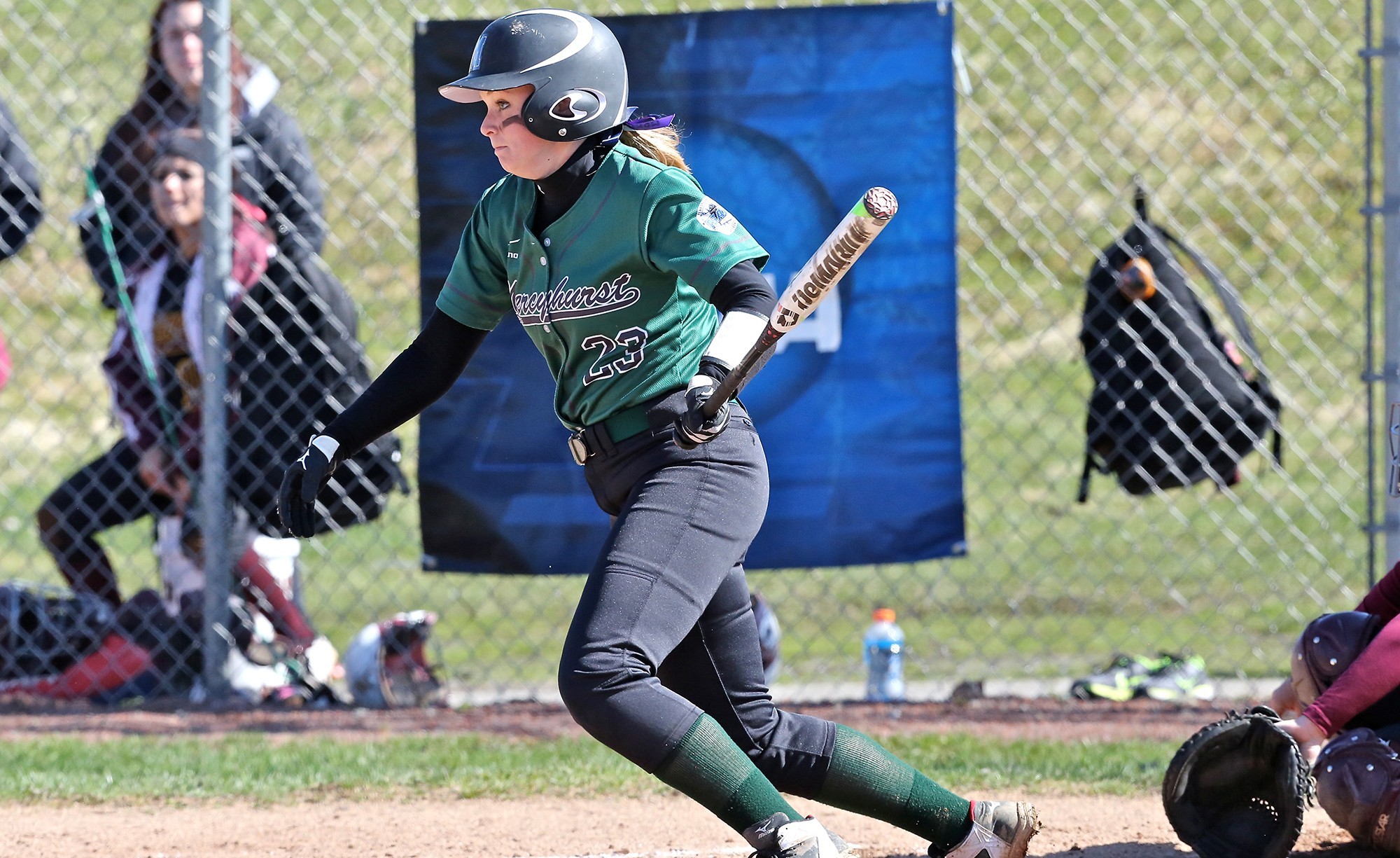 Kayla Larson - 2016 - Softball - Mercyhurst University Athletics