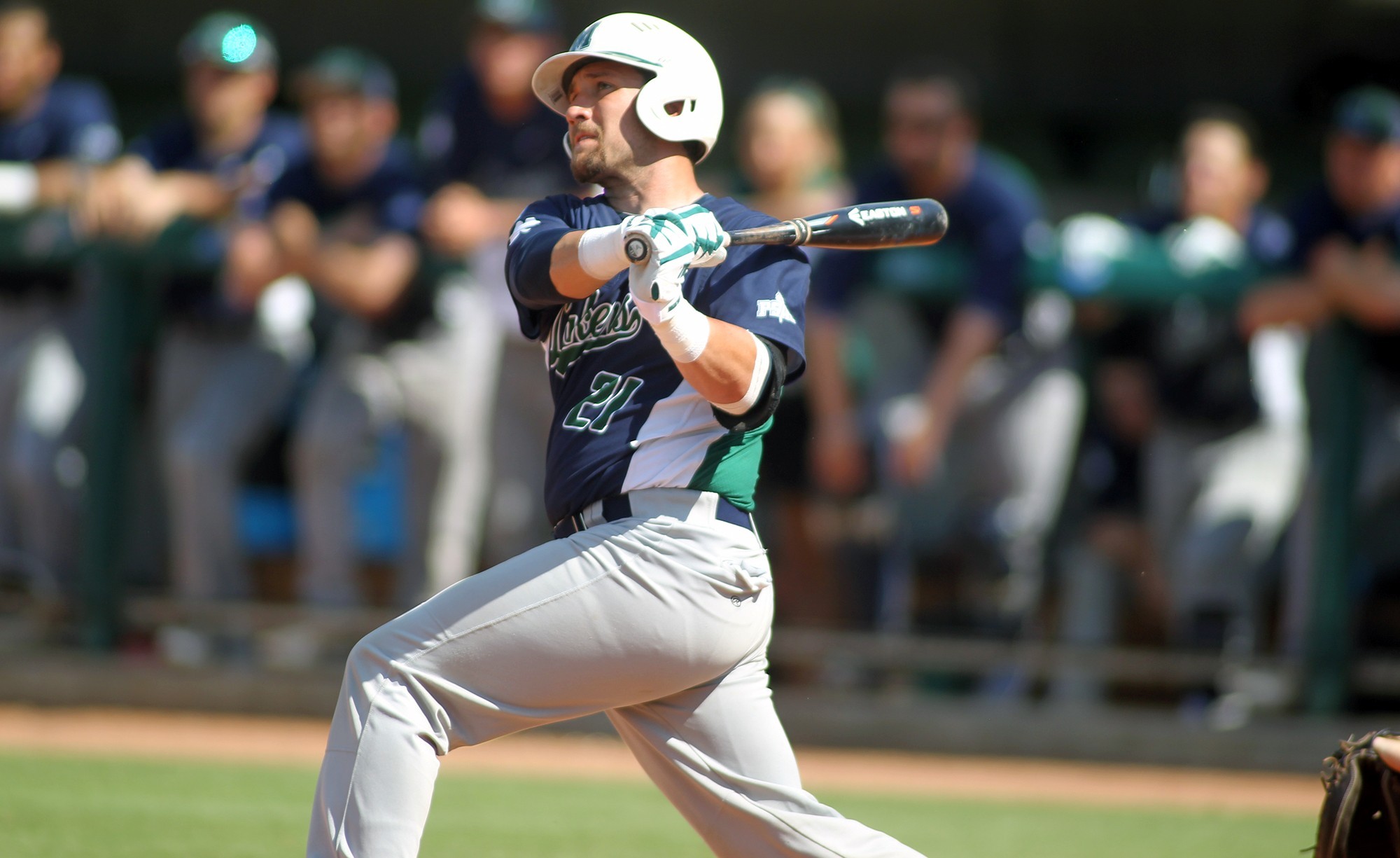 Jake Marinelli - 2015 - Baseball - Mercyhurst University Athletics