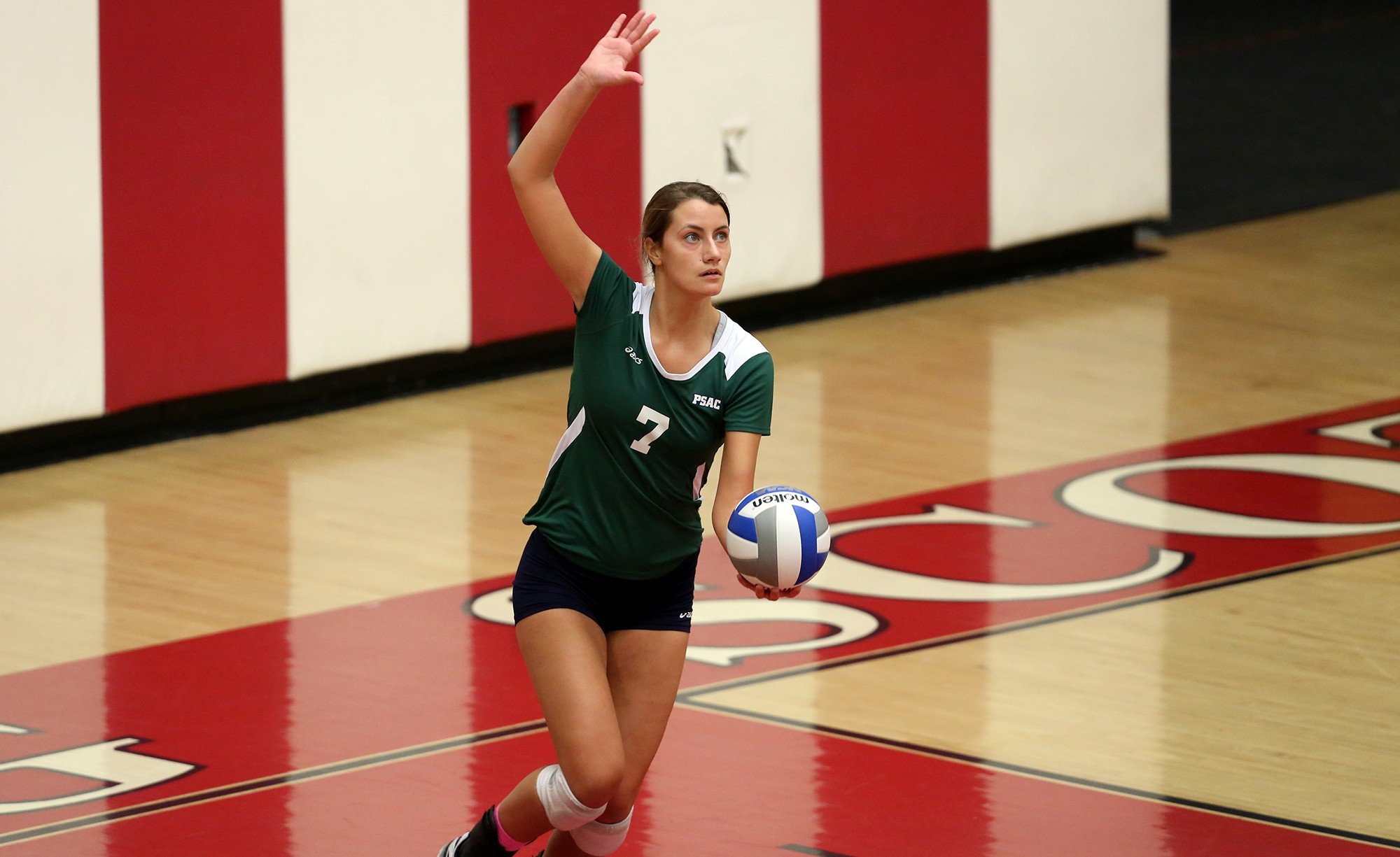 Sarah Puckett - 2016 - Women's Volleyball - Mercyhurst University Athletics
