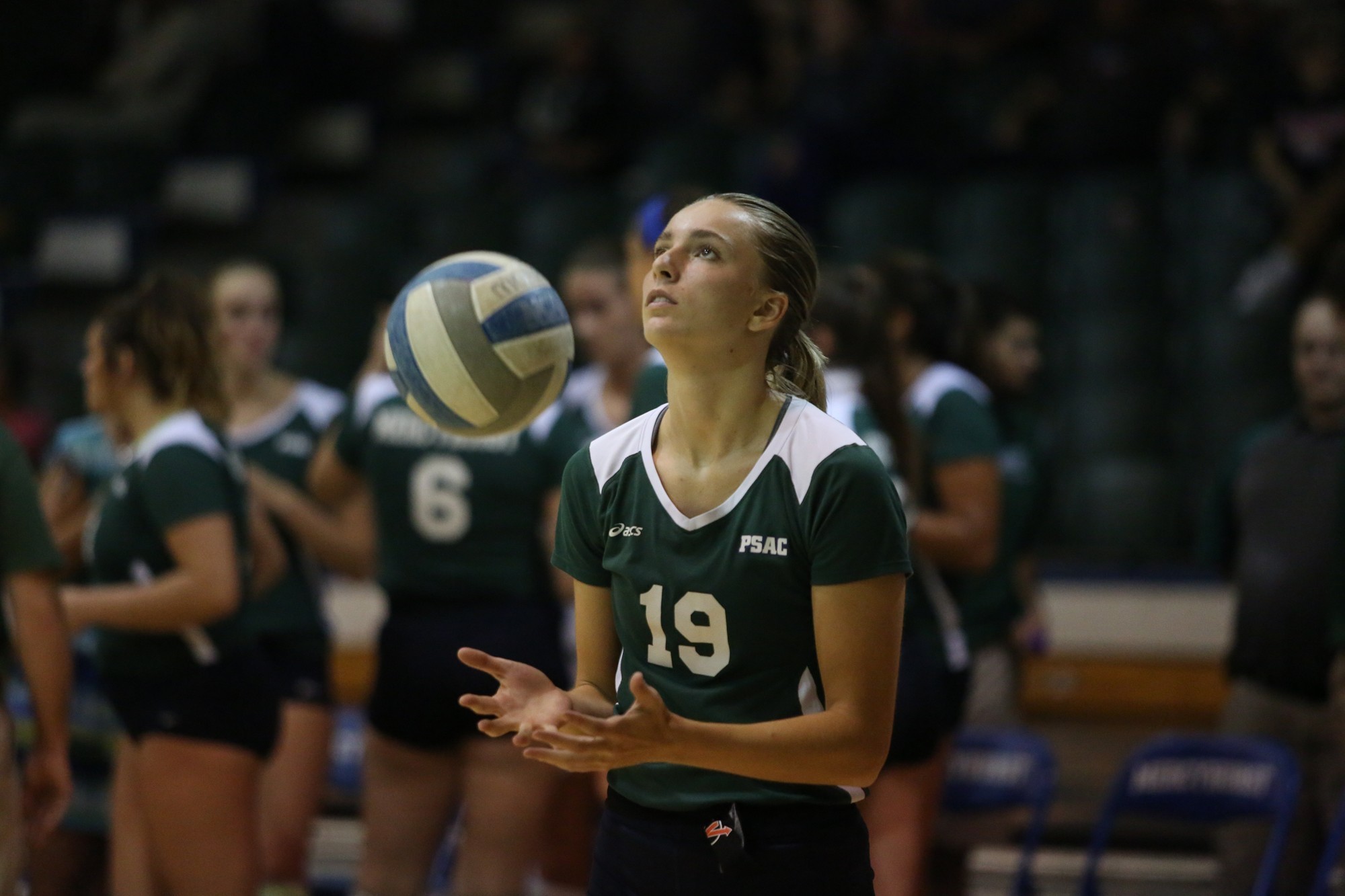 Deanna Coll - 2016 - Women's Volleyball - Mercyhurst University Athletics